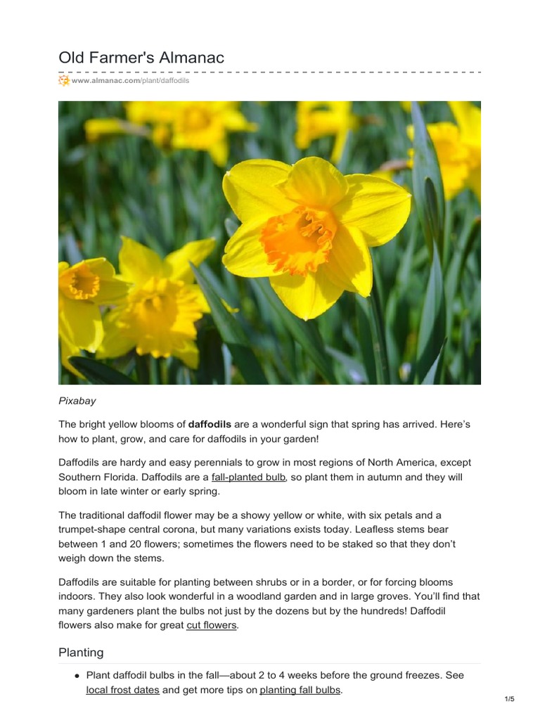 Old Farmers Almanac | PDF | Bulb | Garden Plants