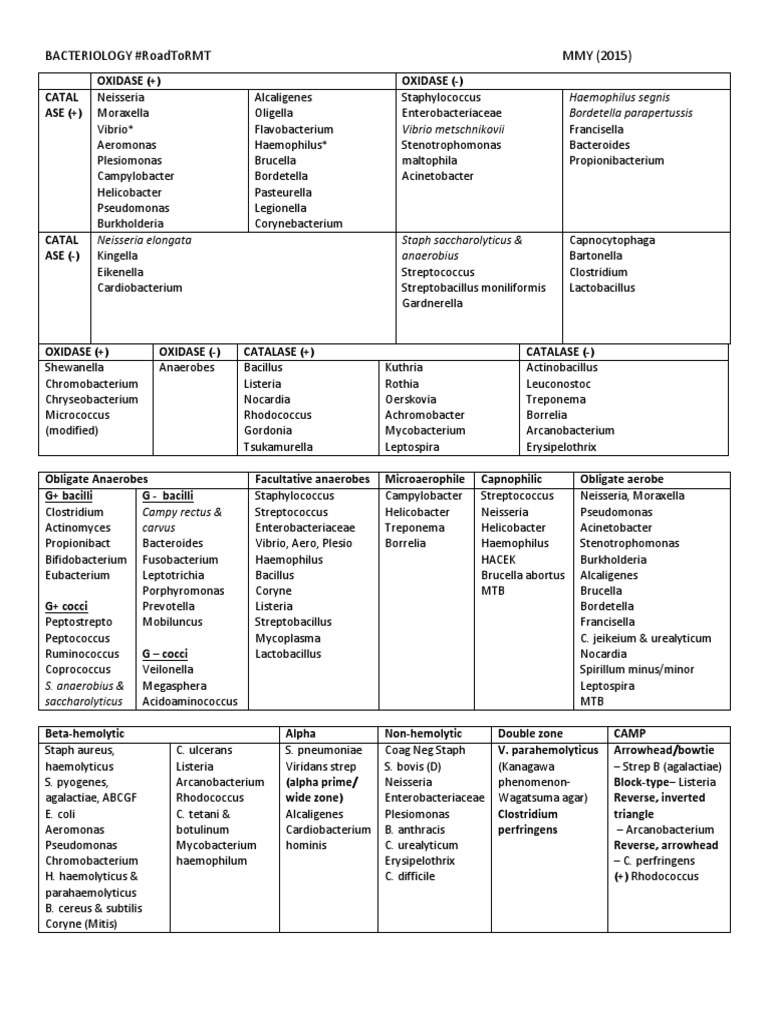 Bacte Summary 2 | PDF | Sciences et mathématiques
