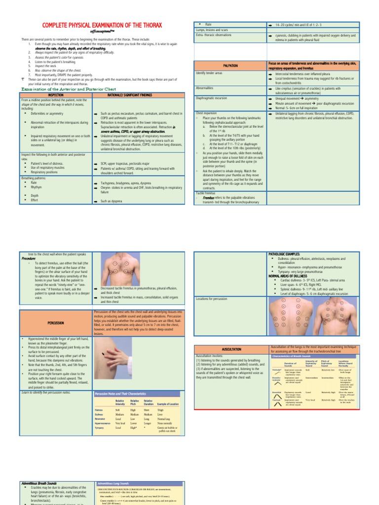 Complete Guide To Physical Exam | PDF | Pulse | Heart