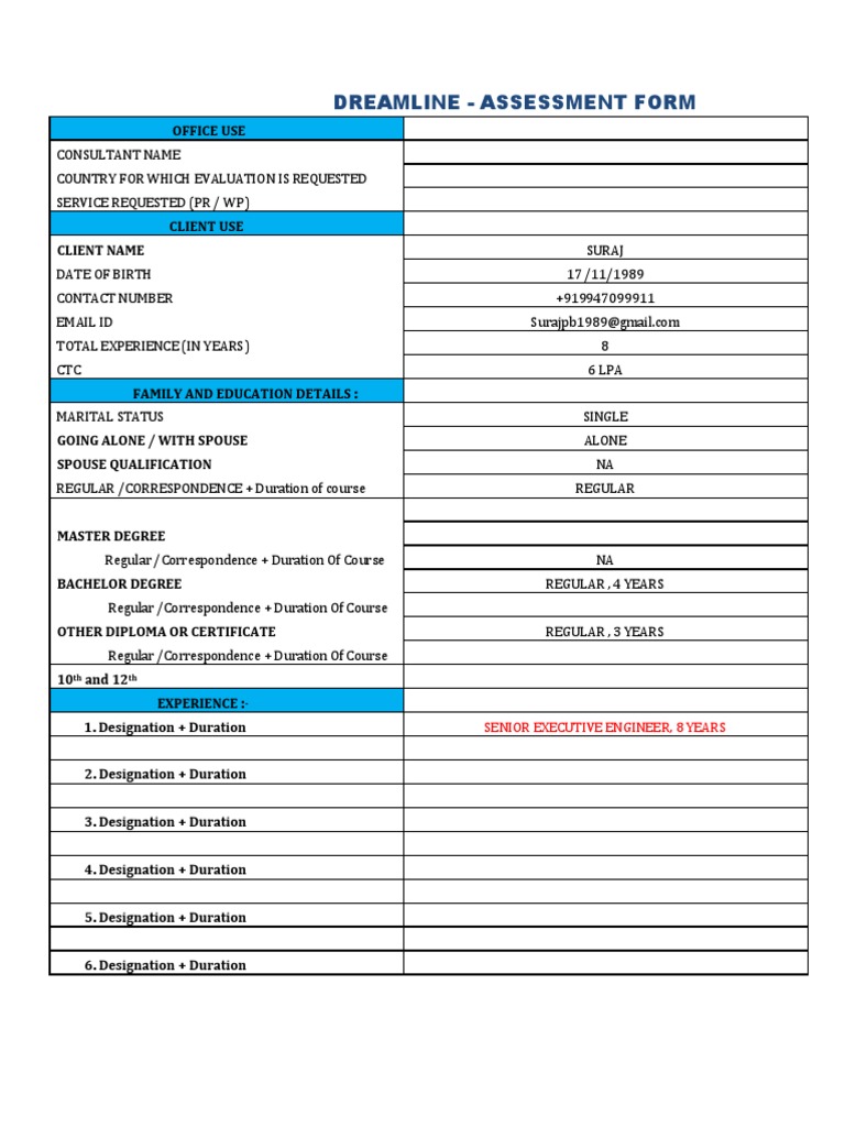 Dreamline - Assessment Form: Senior Executive Engineer, 8 Years | PDF