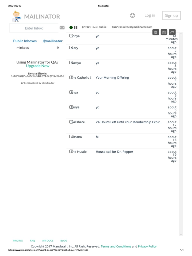 Mini Toes | PDF | E Commerce | Online Services