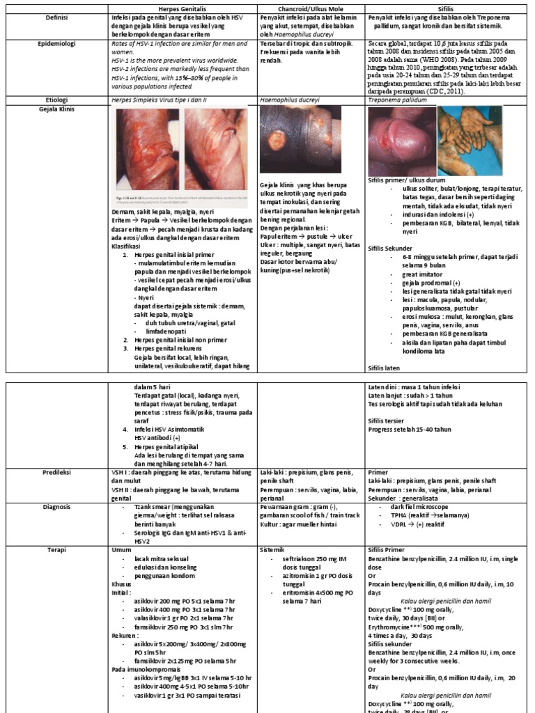 Rangkuman Ulkus Genital