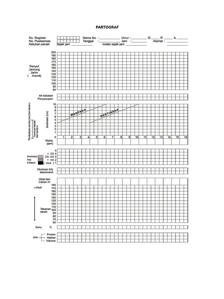 Format Partograf | PDF