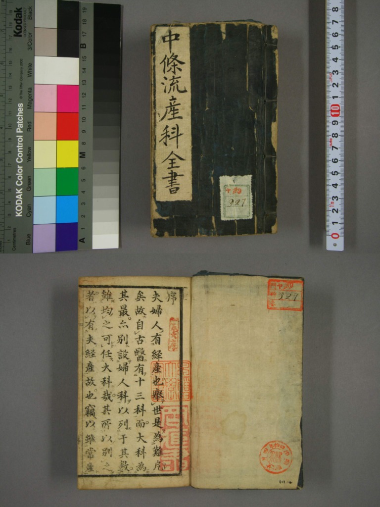 Chujo Ryu Sanka Zensho PDF | PDF