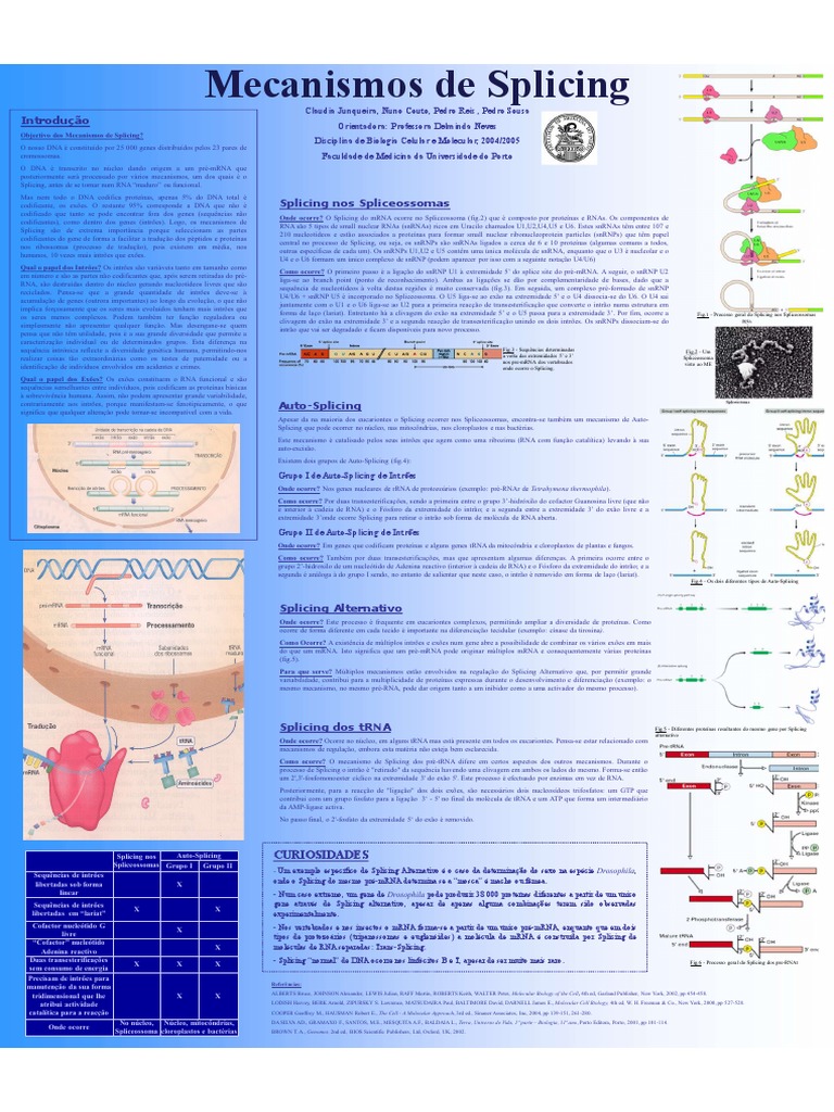 Mecanismos de Splicing | PDF | Splicing | DNA