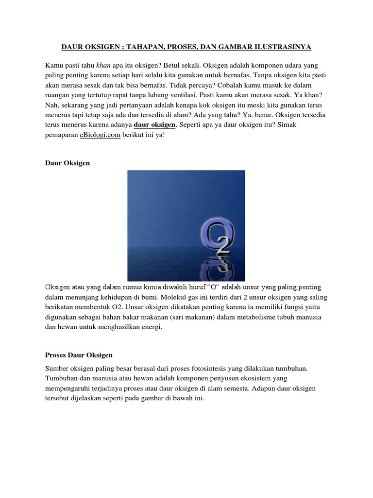 Daur Oksigen | PDF