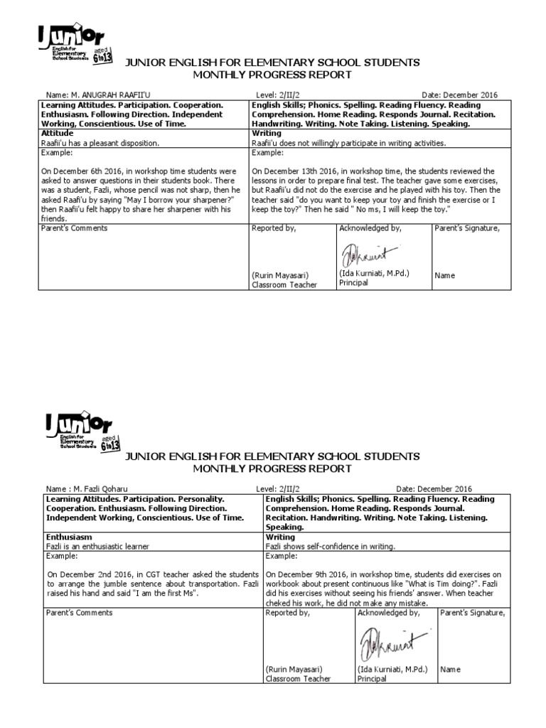 Descriptive Assessment Dec Send | PDF | Phonics | Reading Comprehension