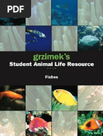 List of Sea Animals With Pictures PDF | PDF