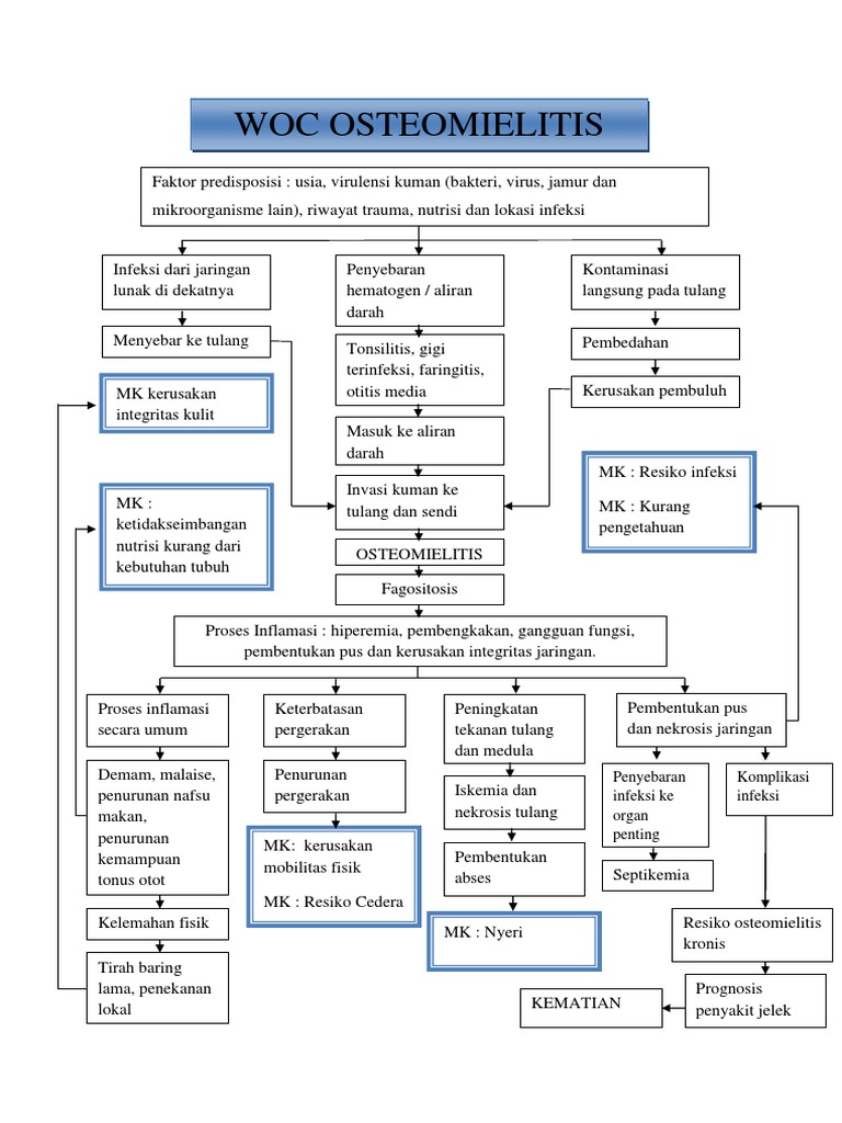 Woc Osteomielitis FIX | PDF