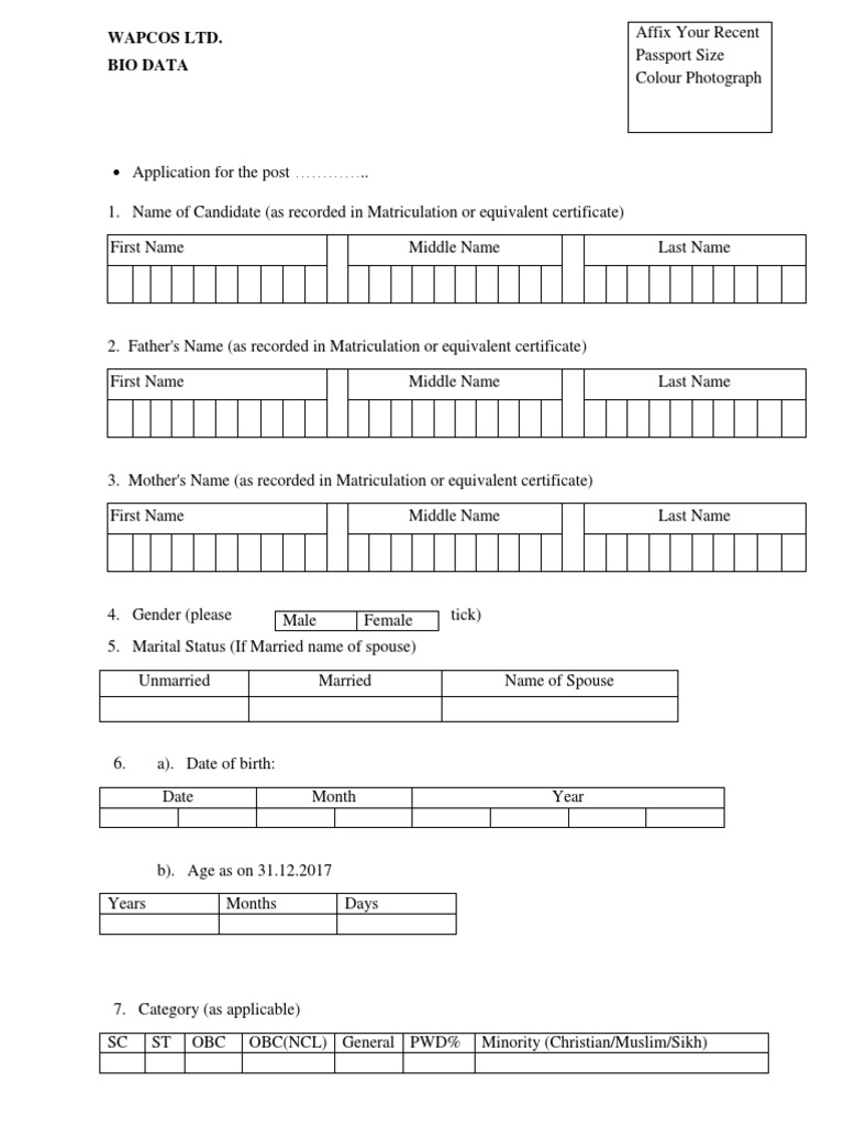 CV Format | PDF | Government | Business