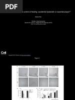 Alignment With Mega | PDF | Sequence Alignment | Nucleic Acid Sequence