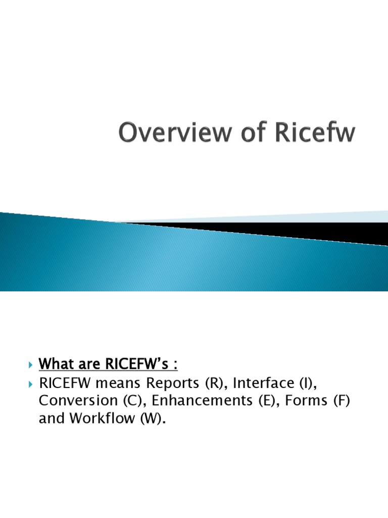 RICEF Presentation | PDF | Databases | Business Process
