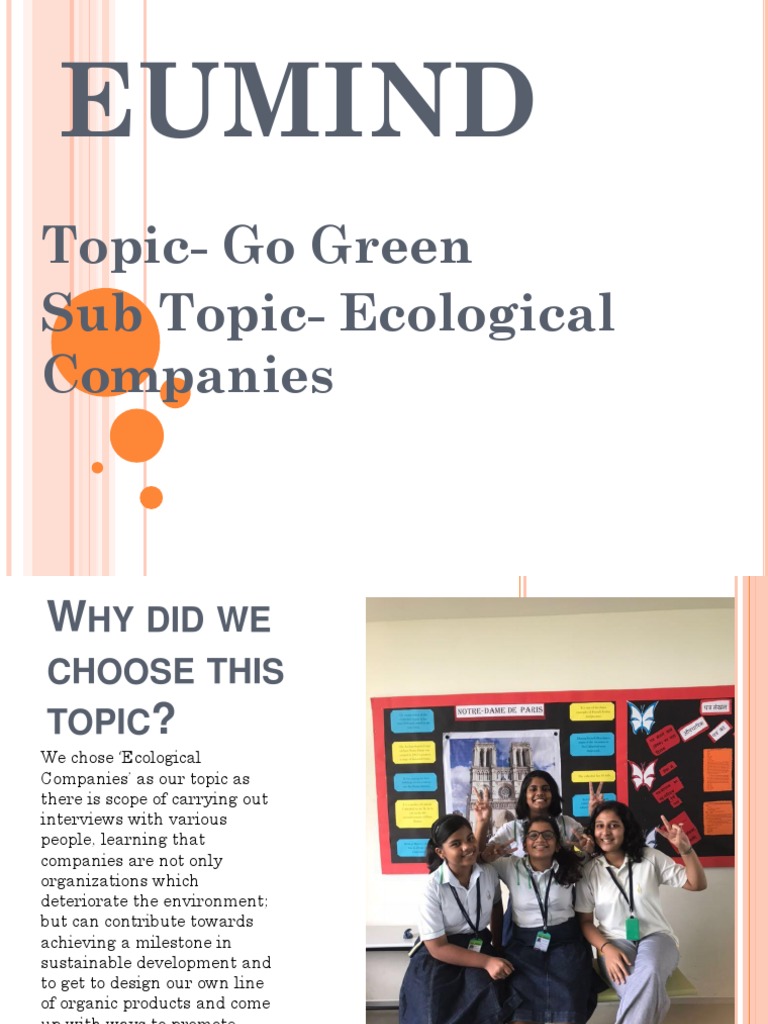 Action Plan Eumind | PDF