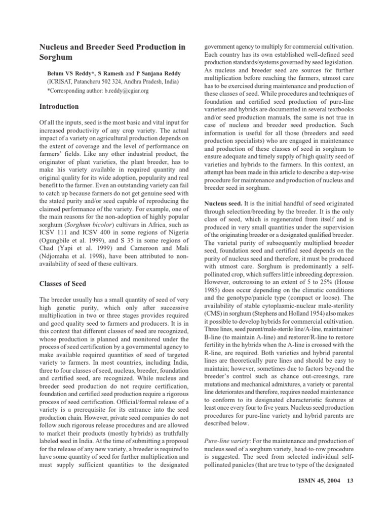 Nucleus and Breeder Seed Production in Sorghum PDF | PDF | Plant ...