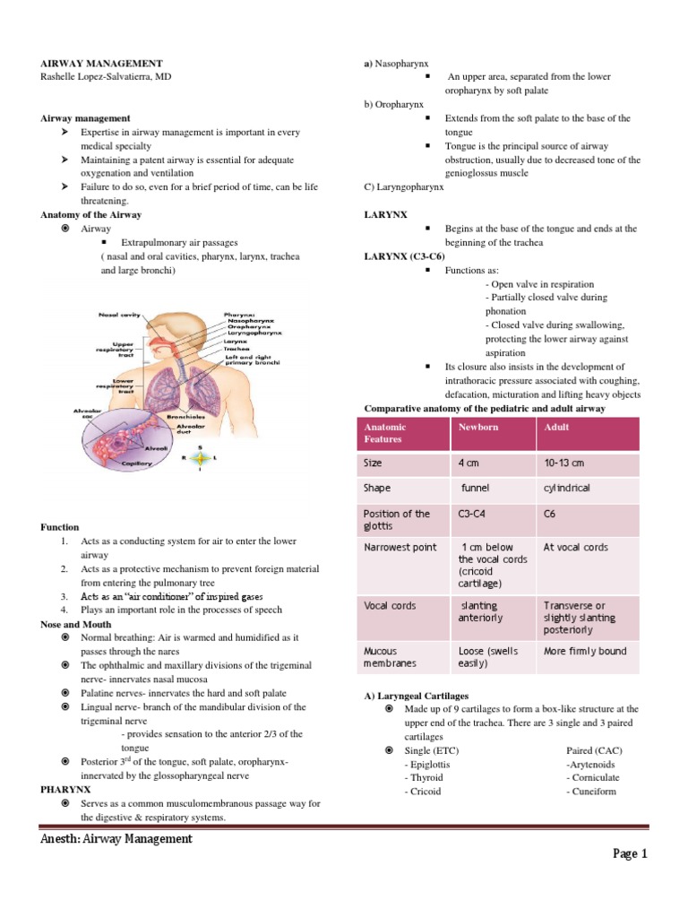 Airway Management | PDF | Larynx | Respiratory Tract
