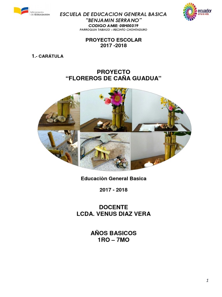 Proyecto Escolar | PDF | Creatividad | Aprendizaje