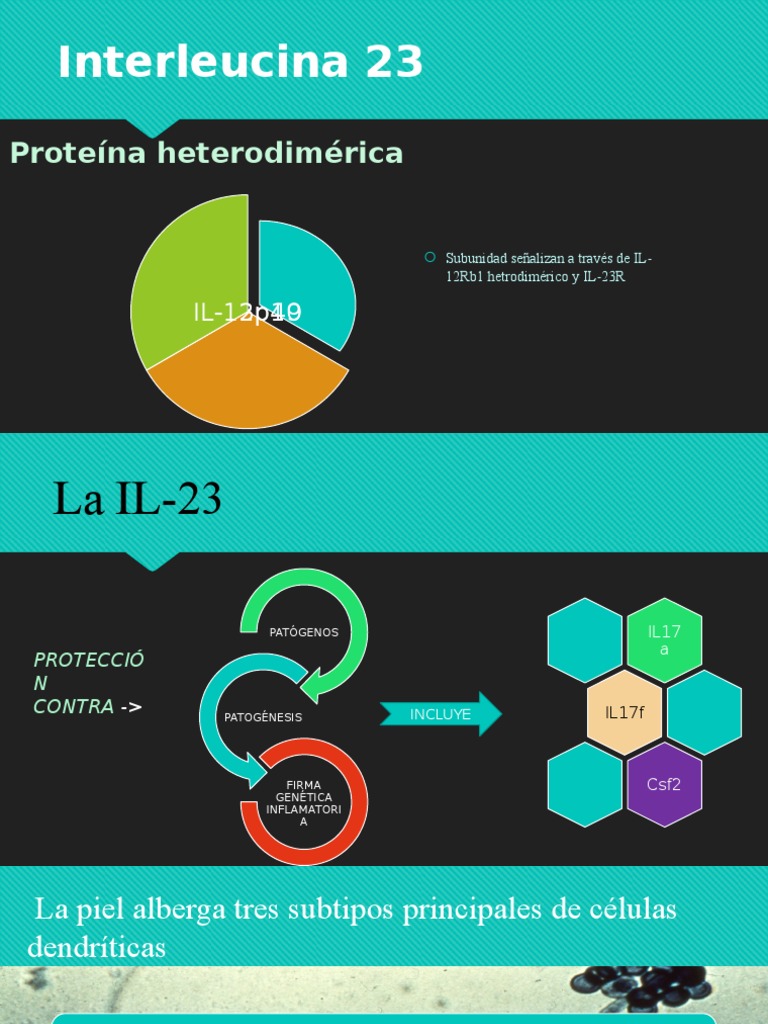 Interleucina 23 | PDF | Citocina | Sistema inmune