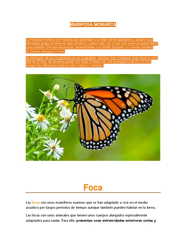 Mariposa Monarca | PDF