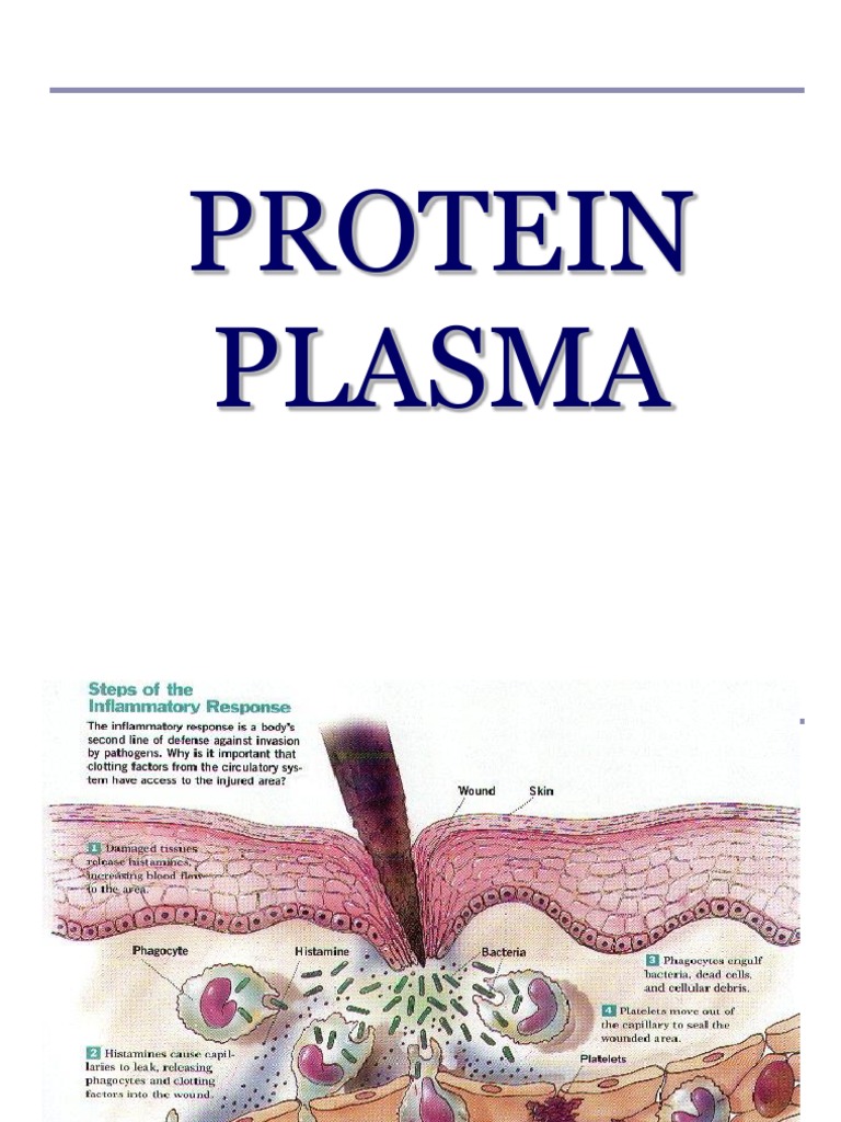 Protein Plasma