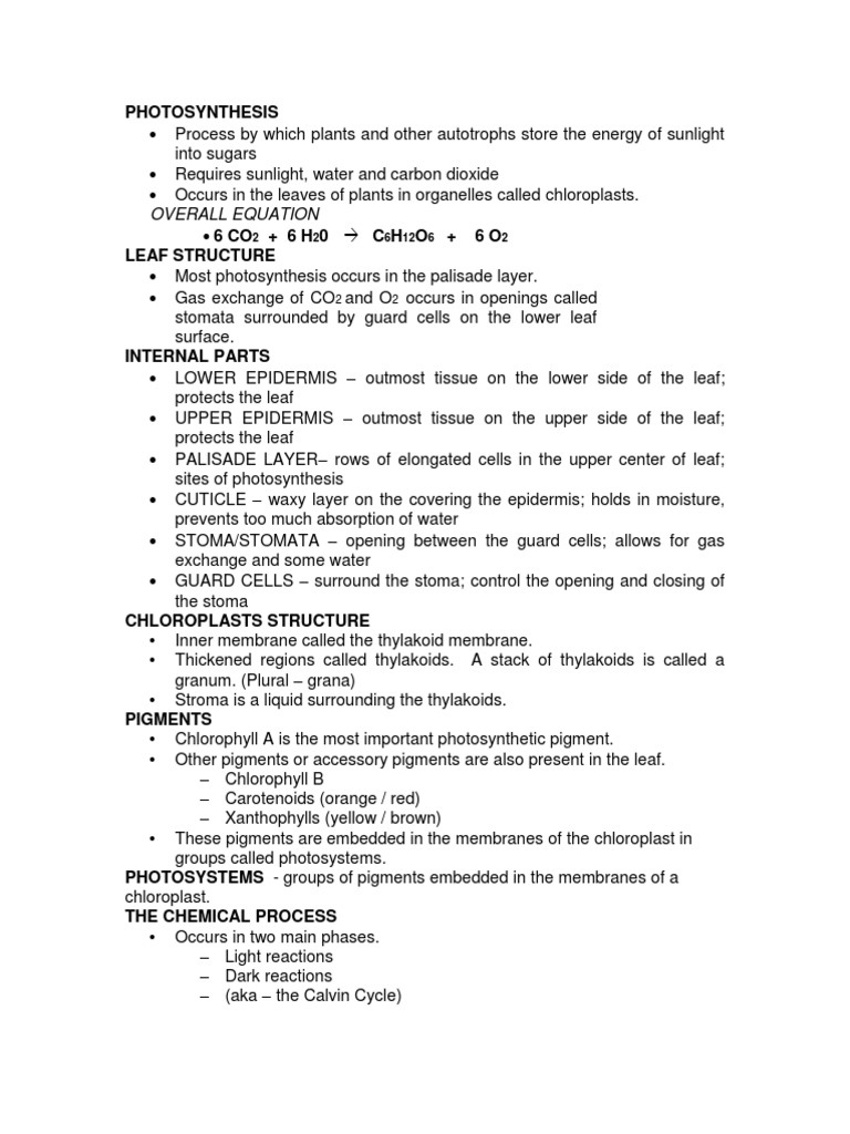 The Process of Photosynthesis: A Comprehensive Overview of the Light ...