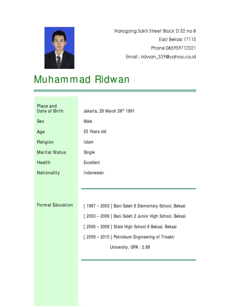 CV Muhammad Ridwan | Download Free PDF | Computing | Science