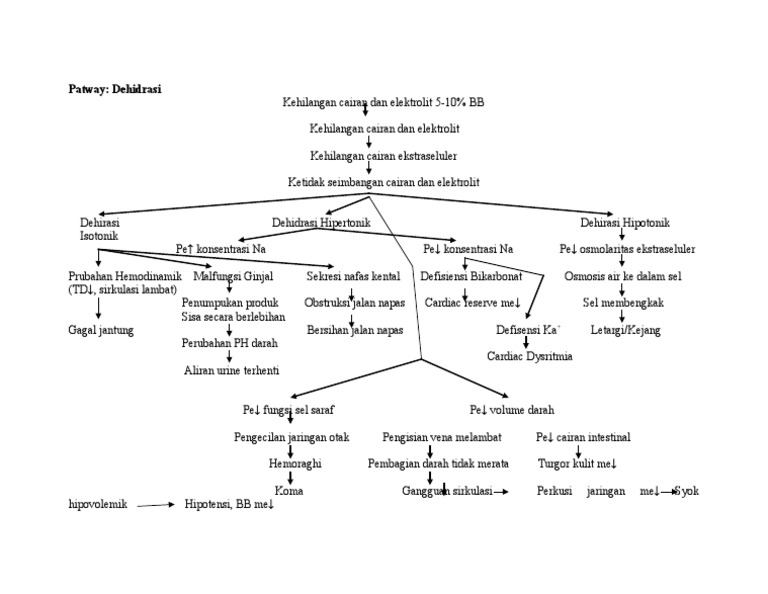 Pathway Dehidrasi | PDF