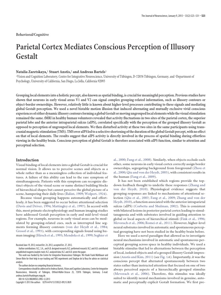 Eye Tracking and Gestalt | PDF | Functional Magnetic Resonance Imaging ...