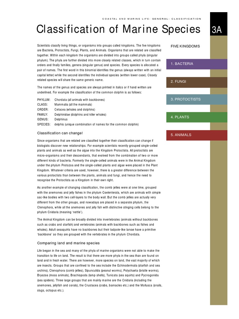 3A General - Classification | PDF | Plants | Algae