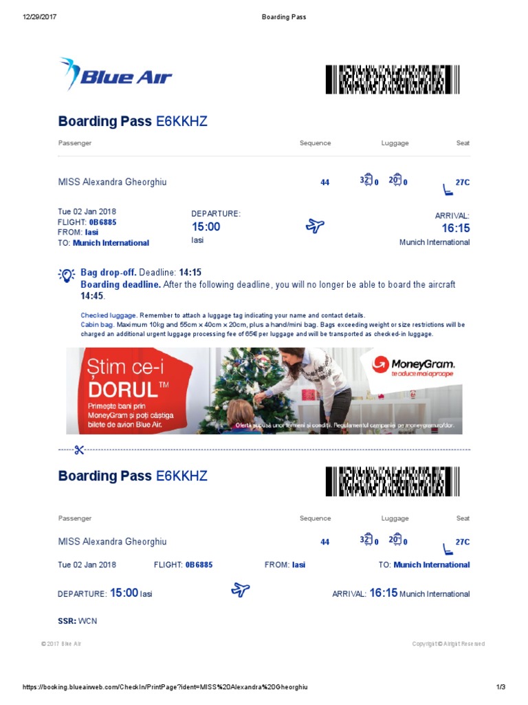 Boarding Pass | PDF | Baggage | Airlines