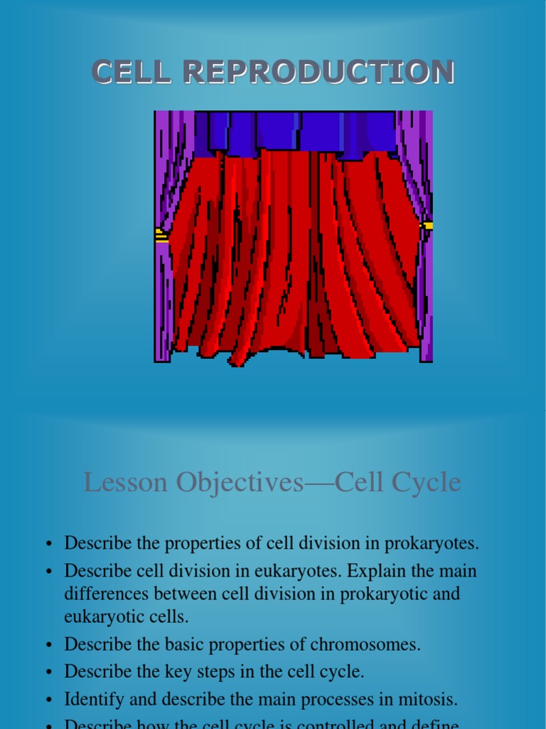 Cell Reproduction: The Cell Cycle AND Mitosis | PDF | Mitosis | Cell Cycle
