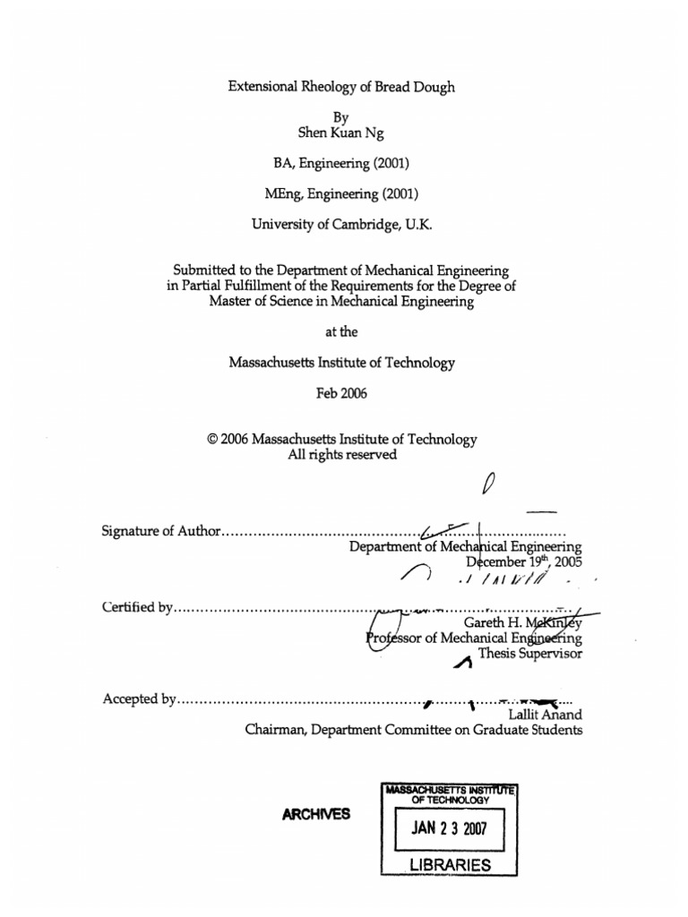Extensional Rheology of Bread Dough PDF | PDF | Flour | Whole Grain