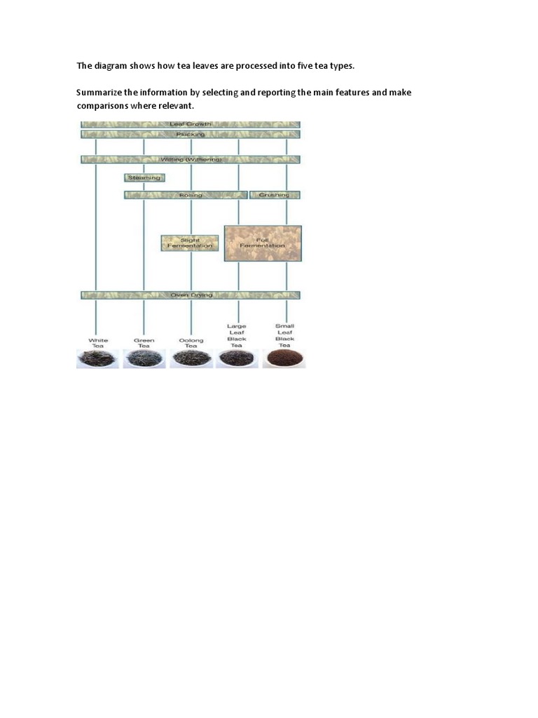 The Diagram Shows How Tea Leaves Are Processed Into Five Tea Types ...