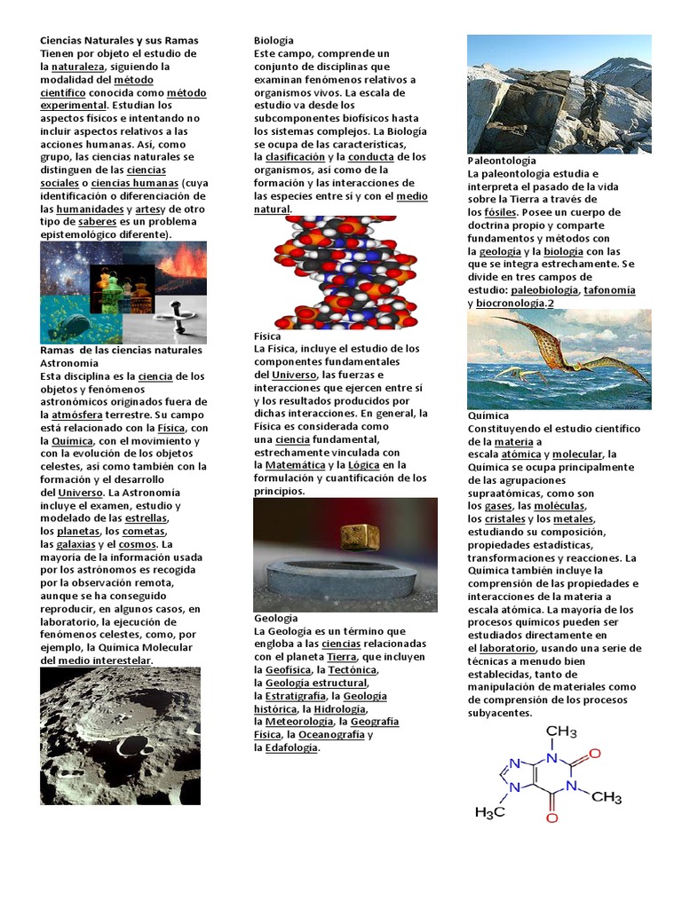 Las ramas principales de las ciencias naturales: Biología, Física ...
