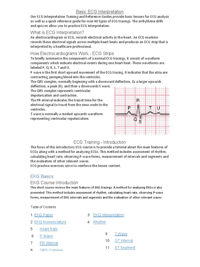 Basic ECG Interpretation | PDF | Electrocardiography | Circulatory System