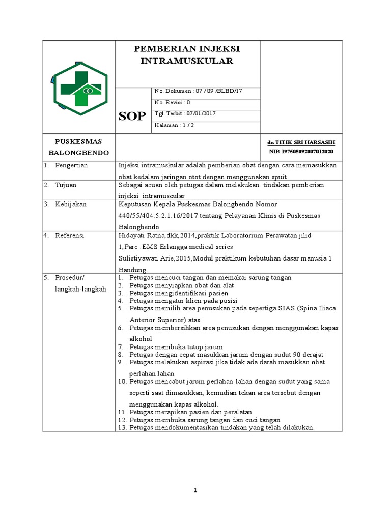 Pemberian Injeksi Intramuskular | PDF