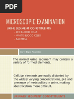 Urine Sediment Atlas: Key Points | PDF | Medical Specialties | Clinical ...