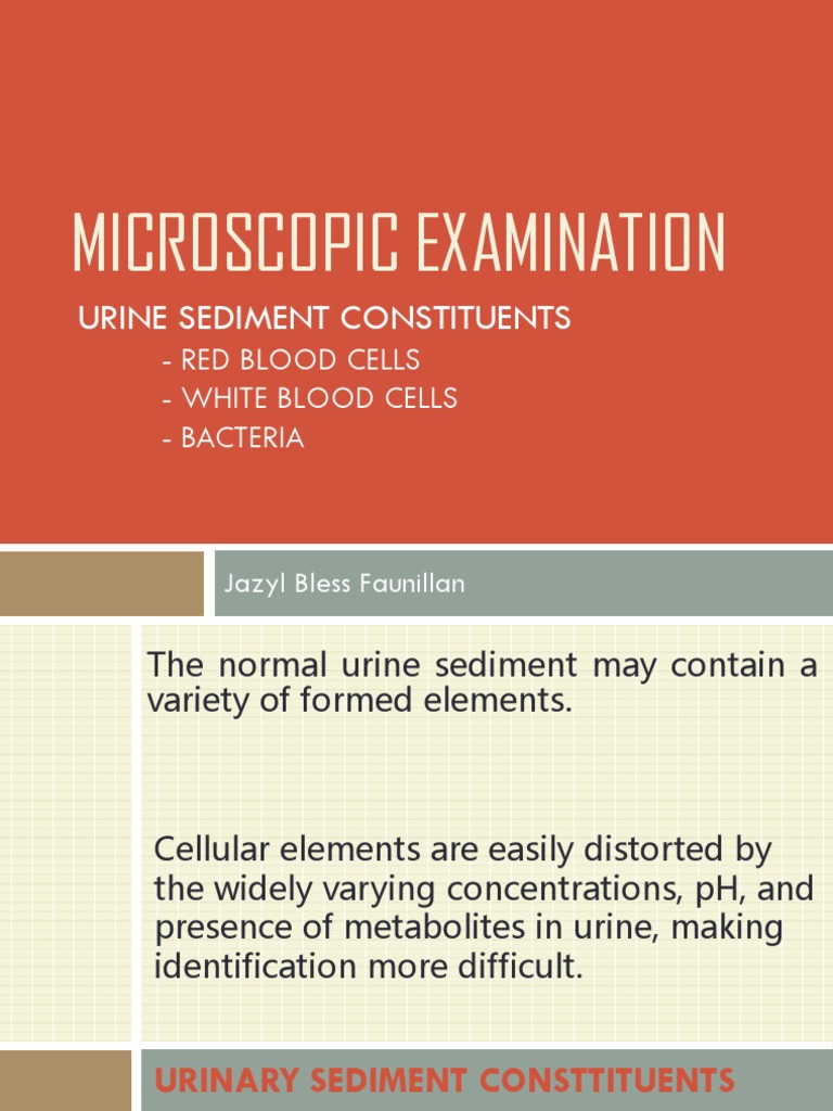 Microscopic Exam 01 - RBC, WBC, Bacteria | PDF | White Blood Cell | Red ...