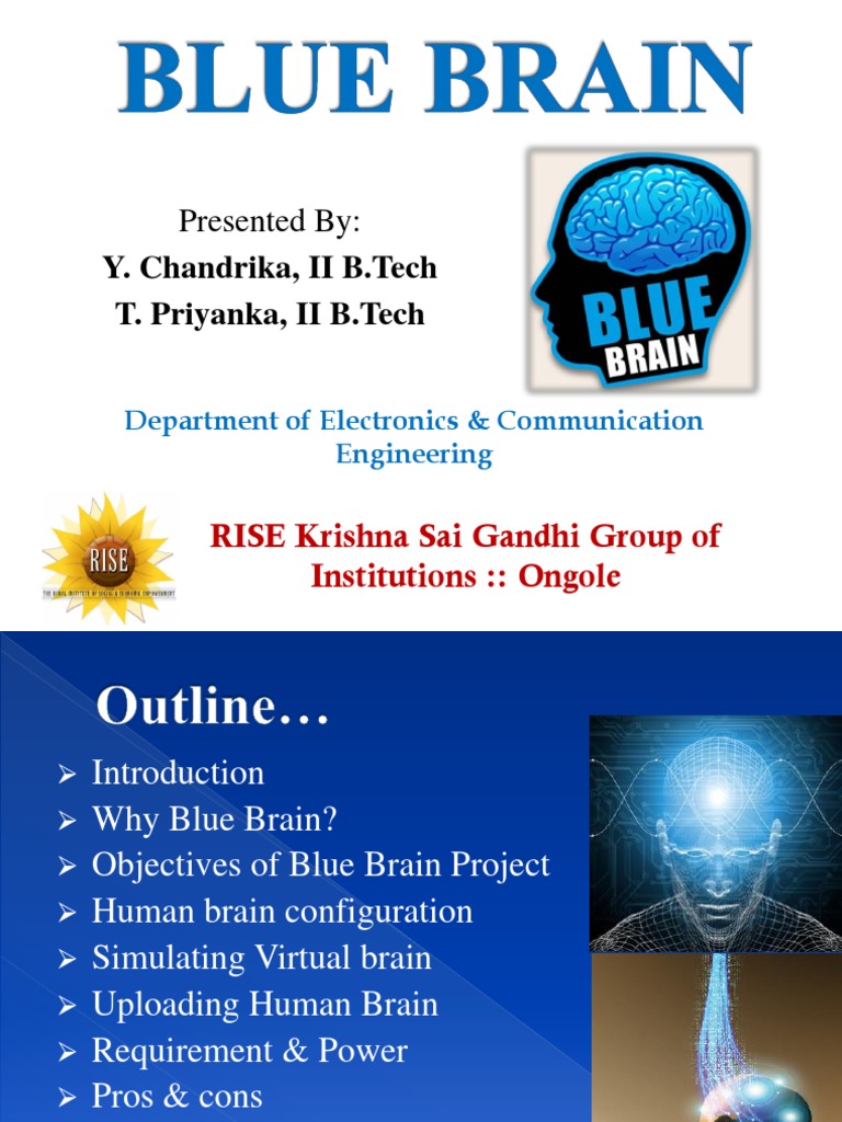 Blue Brain | PDF | Brain | Memory