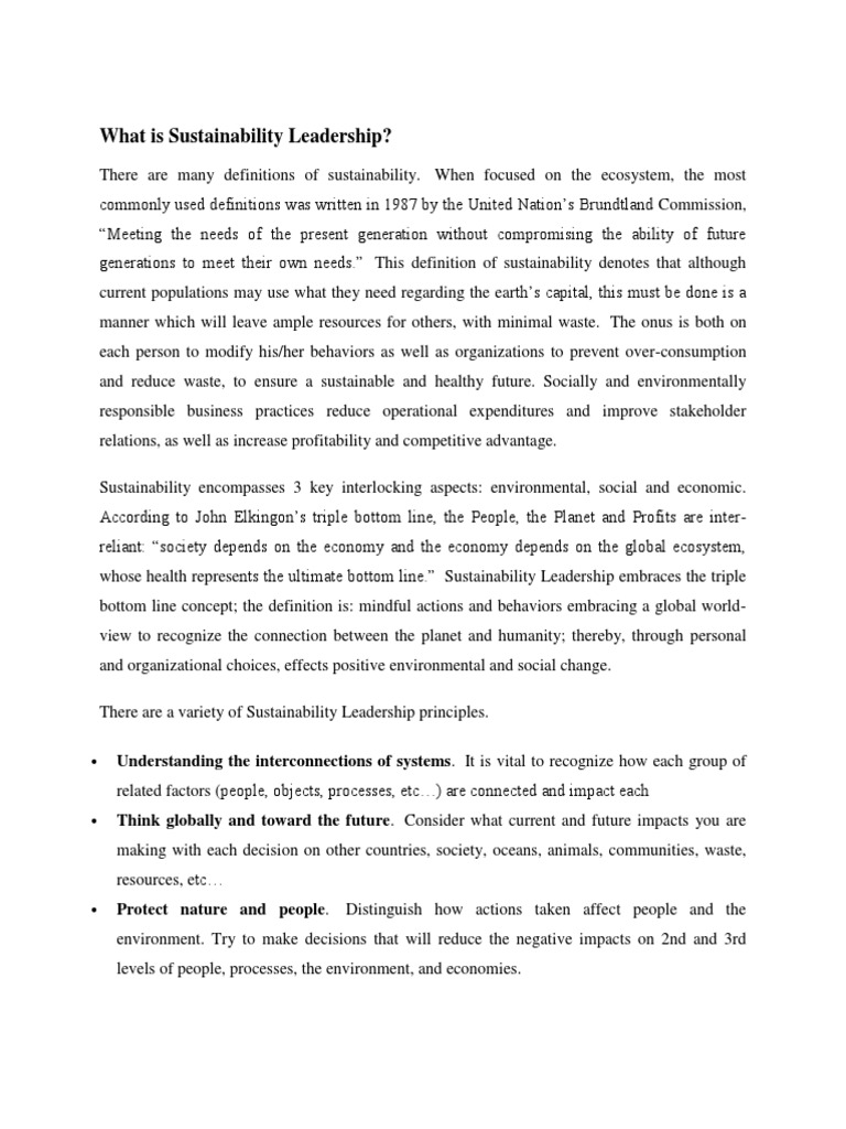Defining Sustainability Leadership | PDF | Sustainability | Economy And ...