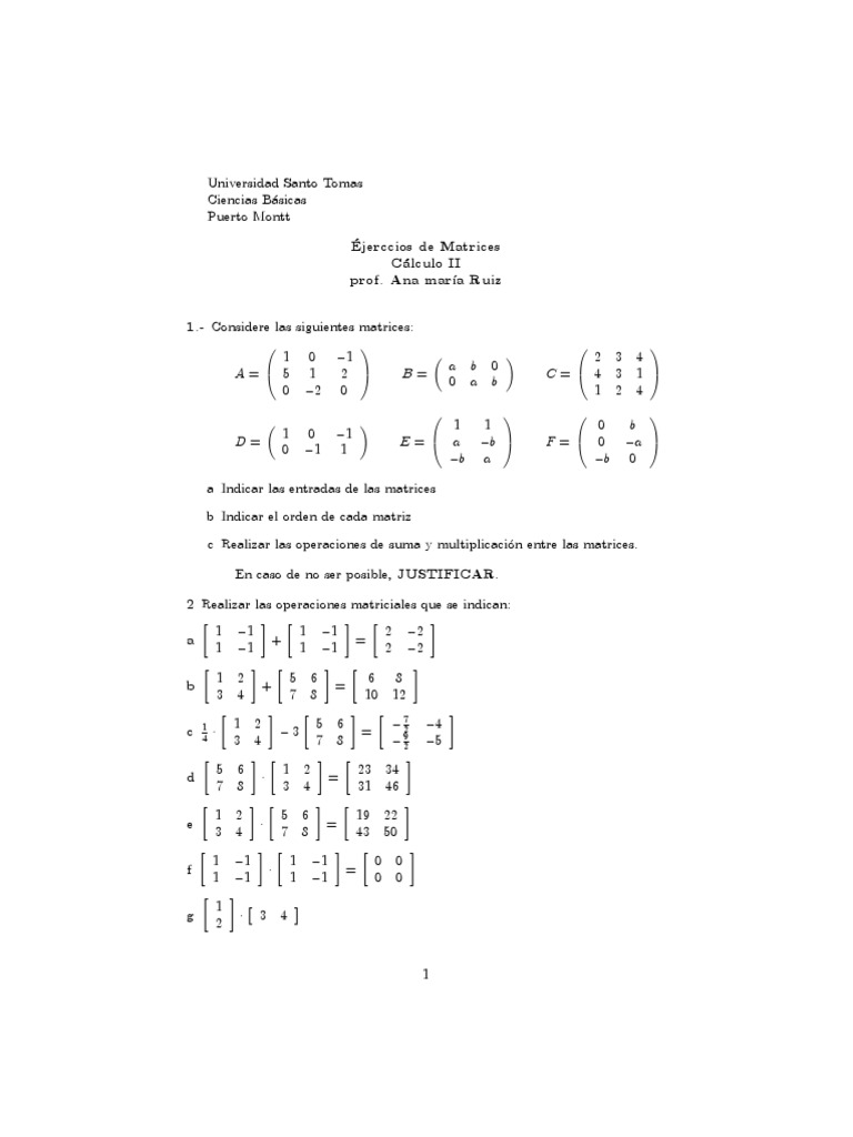 Guia Matrices | PDF | Análisis funcional | Matriz (Matemáticas)