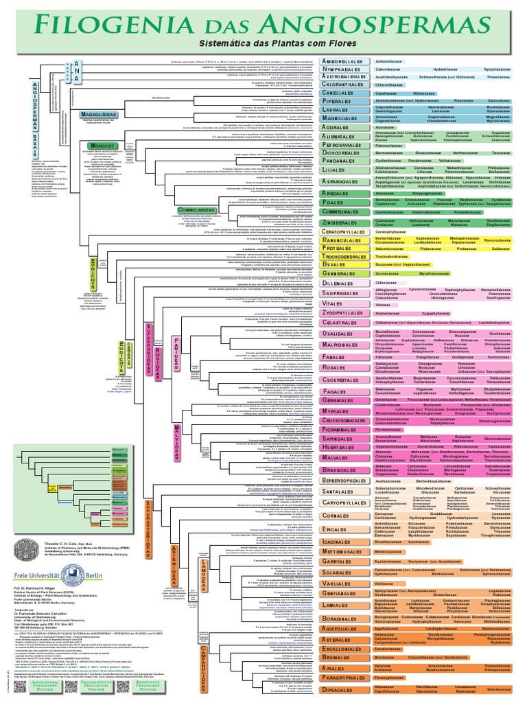 APG-IV_poster.pdf | Plantas | Horticultura e Jardinagem | Free 30-day Trial | Scribd