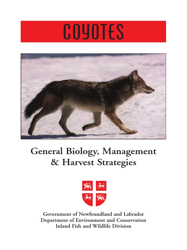 Coyotes: General Biology, Management & Harvest Strategies | PDF ...