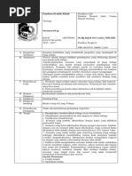 PPK Serumen Prop | PDF