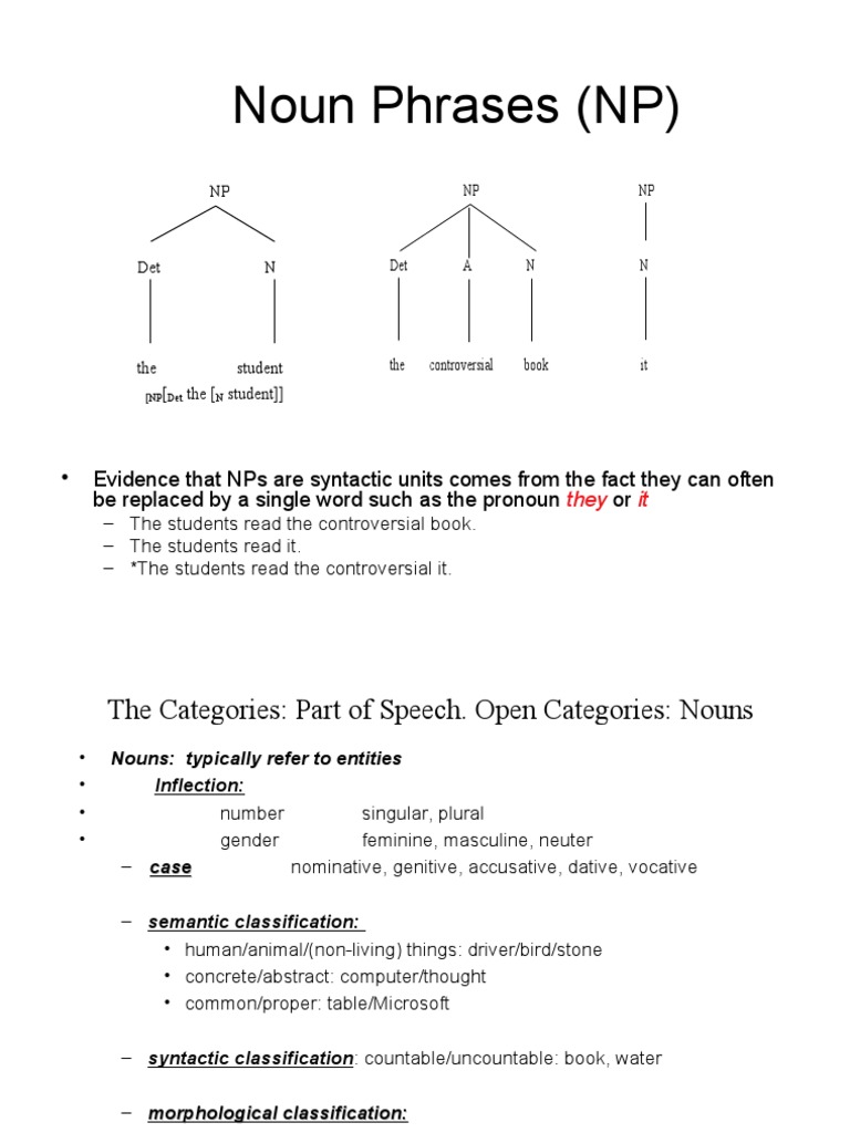 Understanding Noun Phrases in Syntax | PDF | Language Arts & Discipline ...