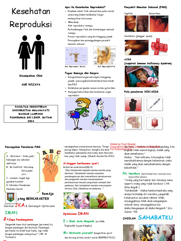 Leaflet Kesehatan Reproduksi | PDF