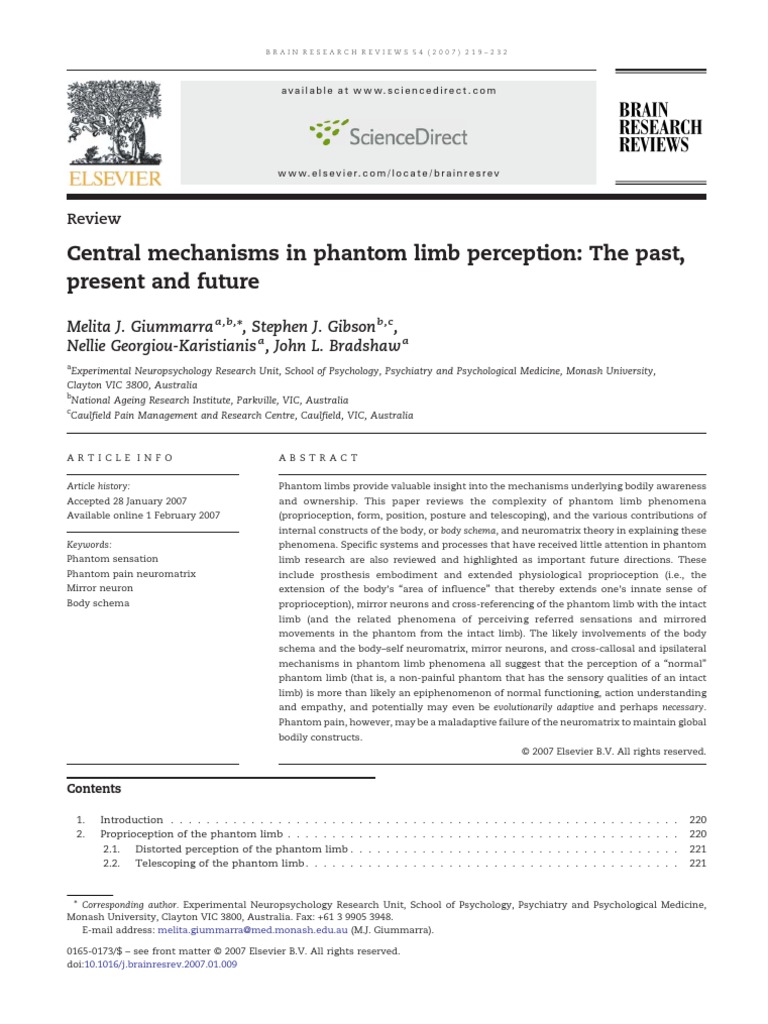 Central Mechanisms in Phantom Limb Perception | PDF | Amputation ...