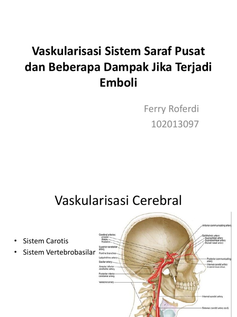 Vaskularisasi Sistem Saraf Pusat Dan Beberapa Dampak Jika | PDF