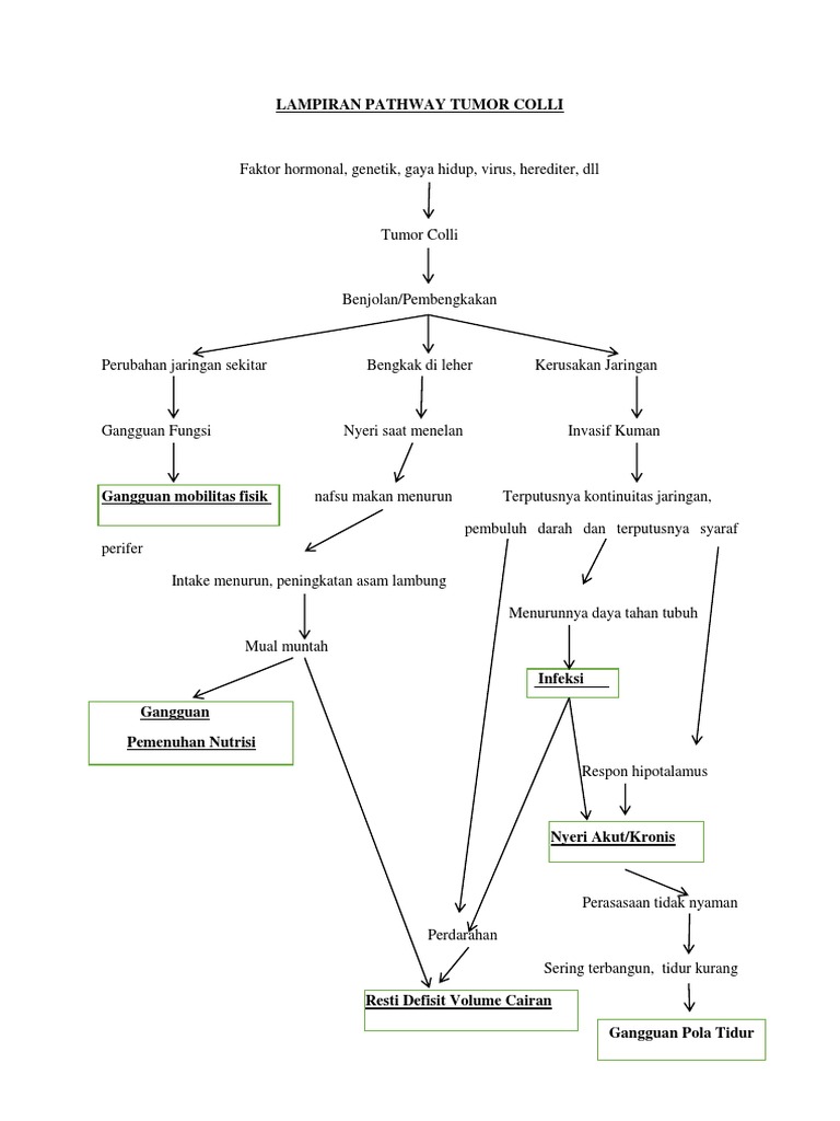 Lampiran Pathway Tumor Colli | PDF