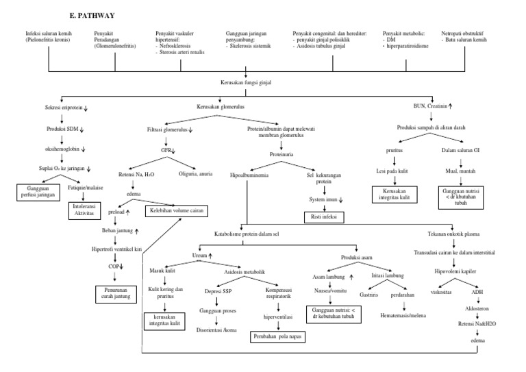 Pathway CKD