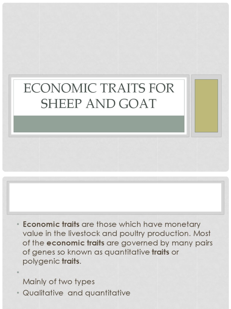 Economic Traits For Sheep and Goat | PDF | Wool | Sheep